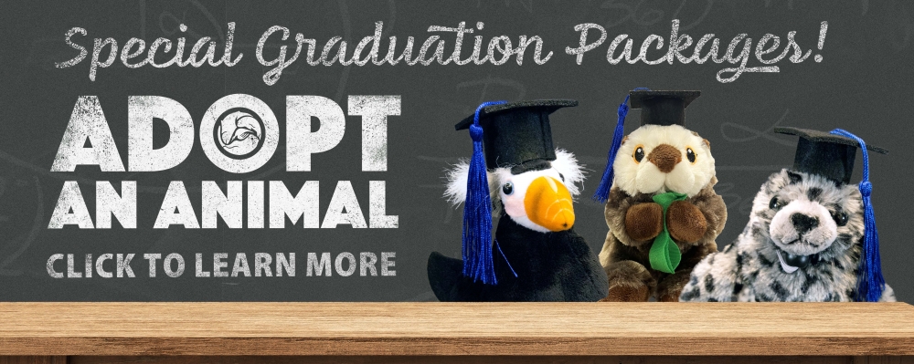 Alaska Sealife Center