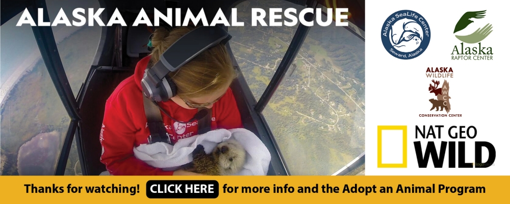 Alaska Sealife Center