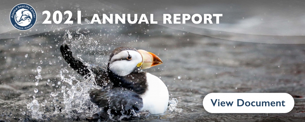 Alaska Sealife Center