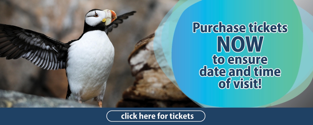 Alaska Sealife Center