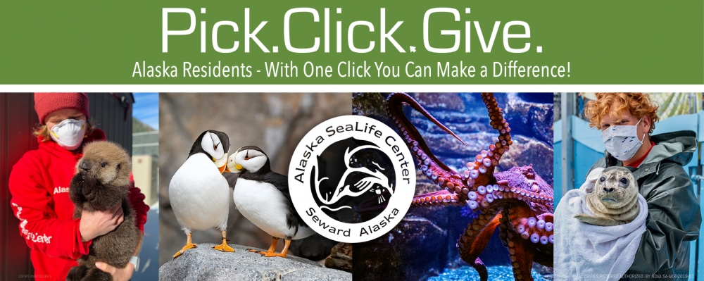 Alaska Sealife Center