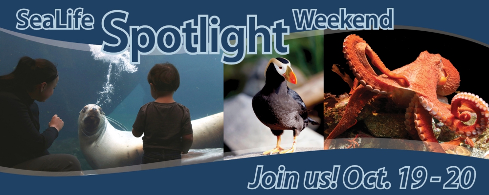 Alaska Sealife Center