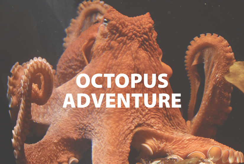 Tours & Encounters - Alaska Sealife Center