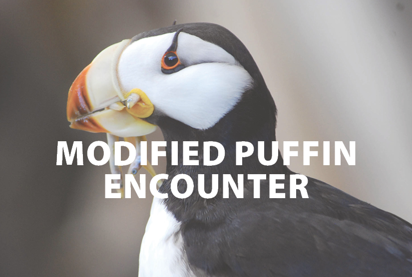 Tours & Encounters - Alaska Sealife Center