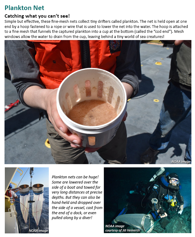 Gulf Watch Drivers - Alaska Sealife Center